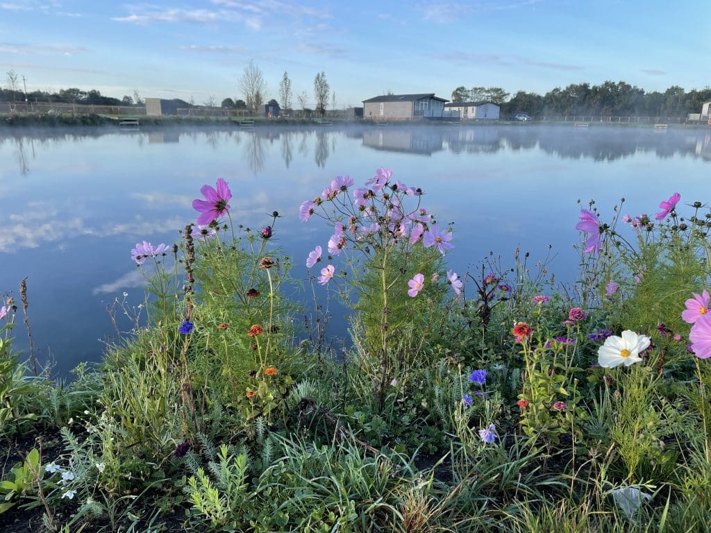 Phase 2 - Residential Park Homes Yorkshire | Gateforth Park